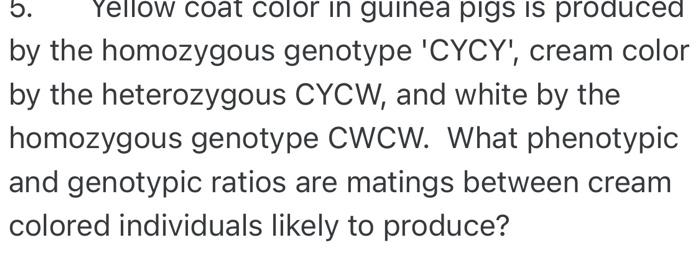 Solved 5. Yellow coat color in guinea pigs is produced by | Chegg.com