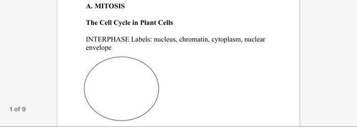 Solved Draw out each phase of the plant cell cycle and label | Chegg.com