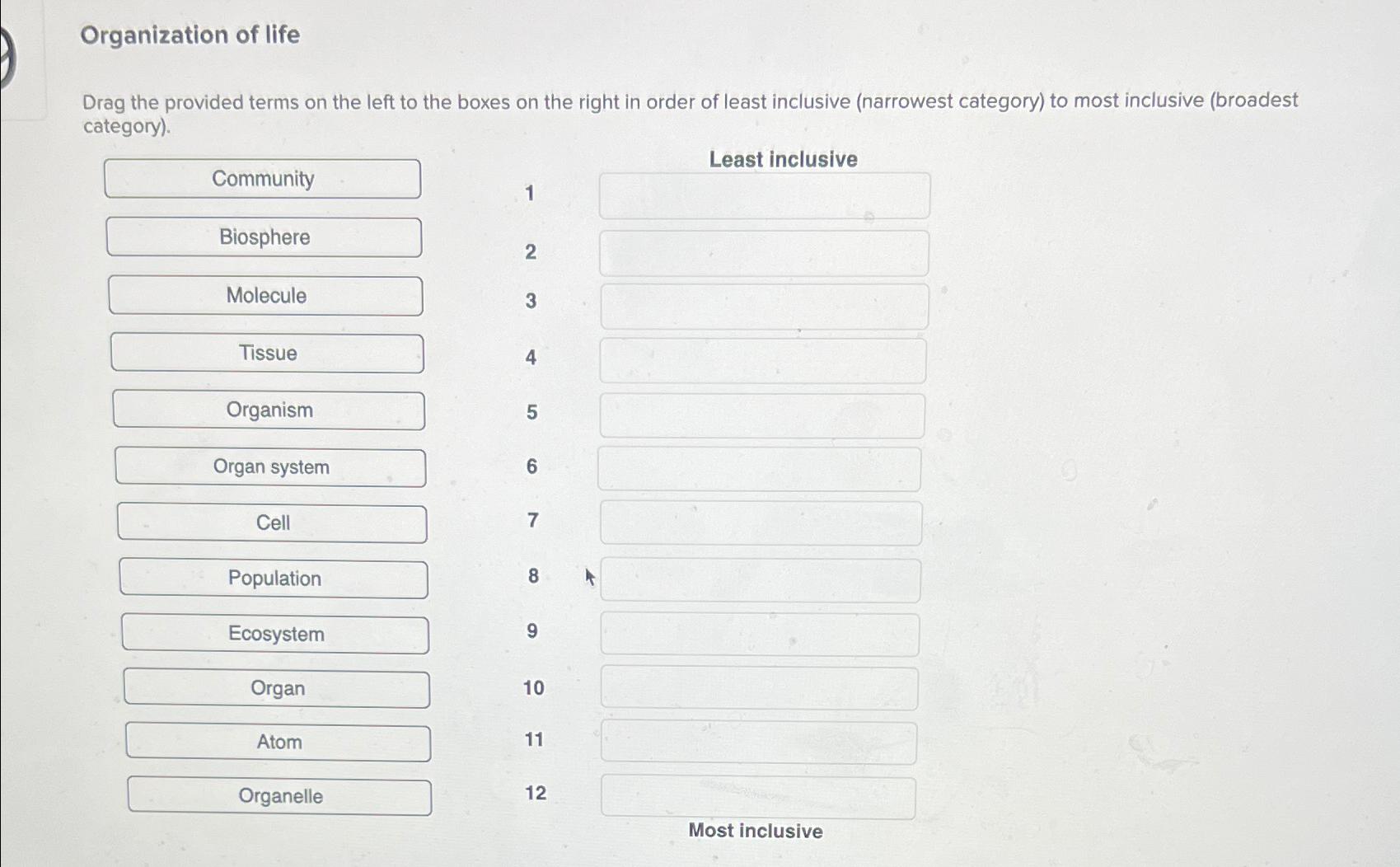 Solved Organization of lifeDrag the provided terms on the | Chegg.com