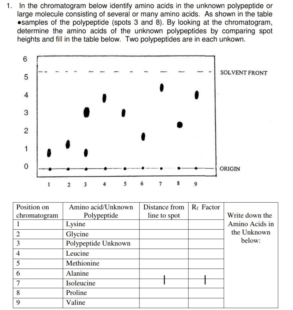 Solved 1. In the chromatogram below identify amino acids in | Chegg.com