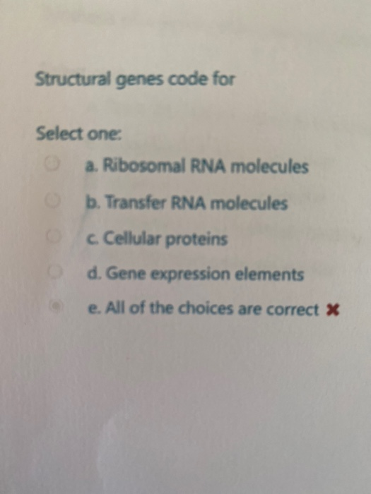 Solved The three-base sequence on mRNA that codes for an | Chegg.com