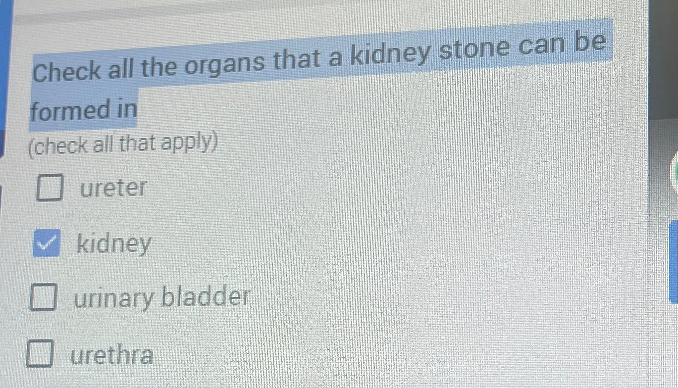 Solved Check all the organs that a kidney stone can be | Chegg.com