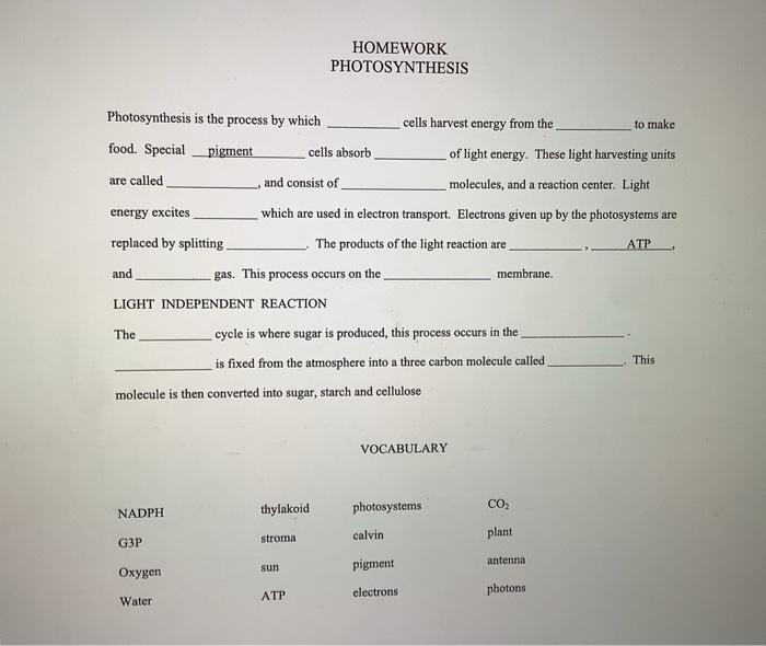 Solved HOMEWORK PHOTOSYNTHESIS Photosynthesis is the process | Chegg.com