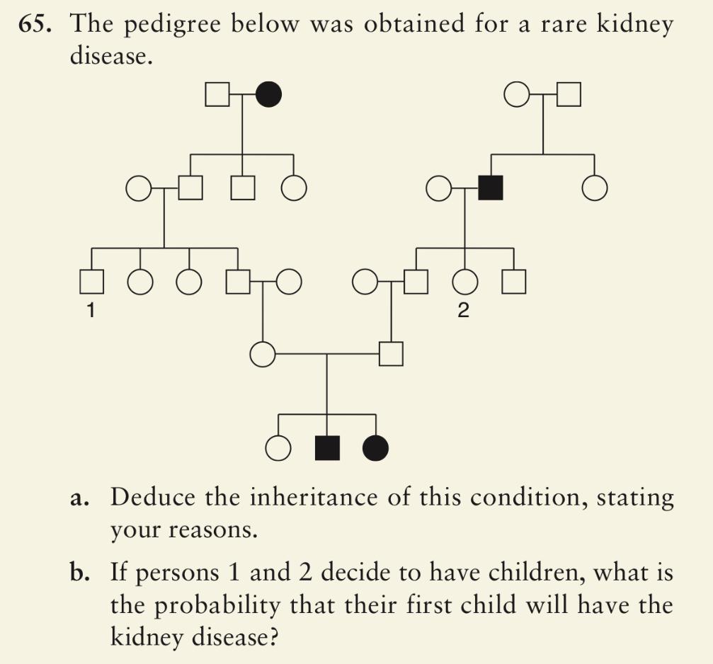 Solved The pedigree below was obtained for a rare kidney | Chegg.com