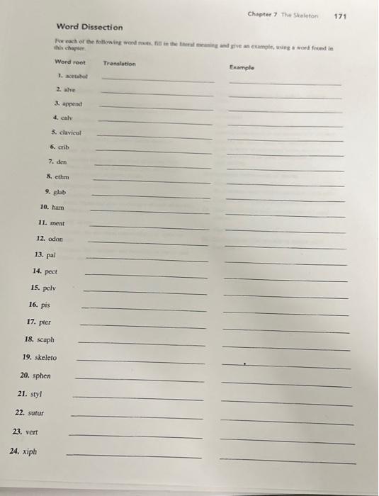 Solved Word Dissection this chapuer Werd root Trenslution | Chegg.com