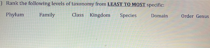 Solved ) Rank the following levels of taxonomy from LEAST TO | Chegg.com