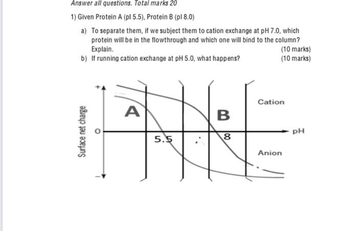 1) Given Protein A (pI 5.5), Protein B (pl 8.0) a) To | Chegg.com