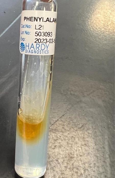 Photos Gram stain, Endospore stain, Quad streak - 6 | Chegg.com