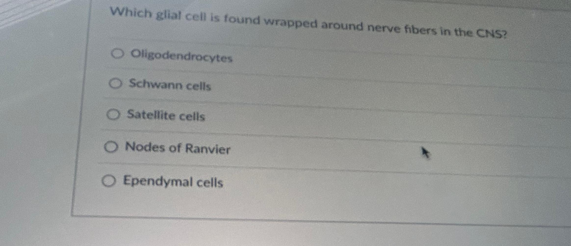 Solved Which glial cell is found wrapped around nerve fibers | Chegg.com