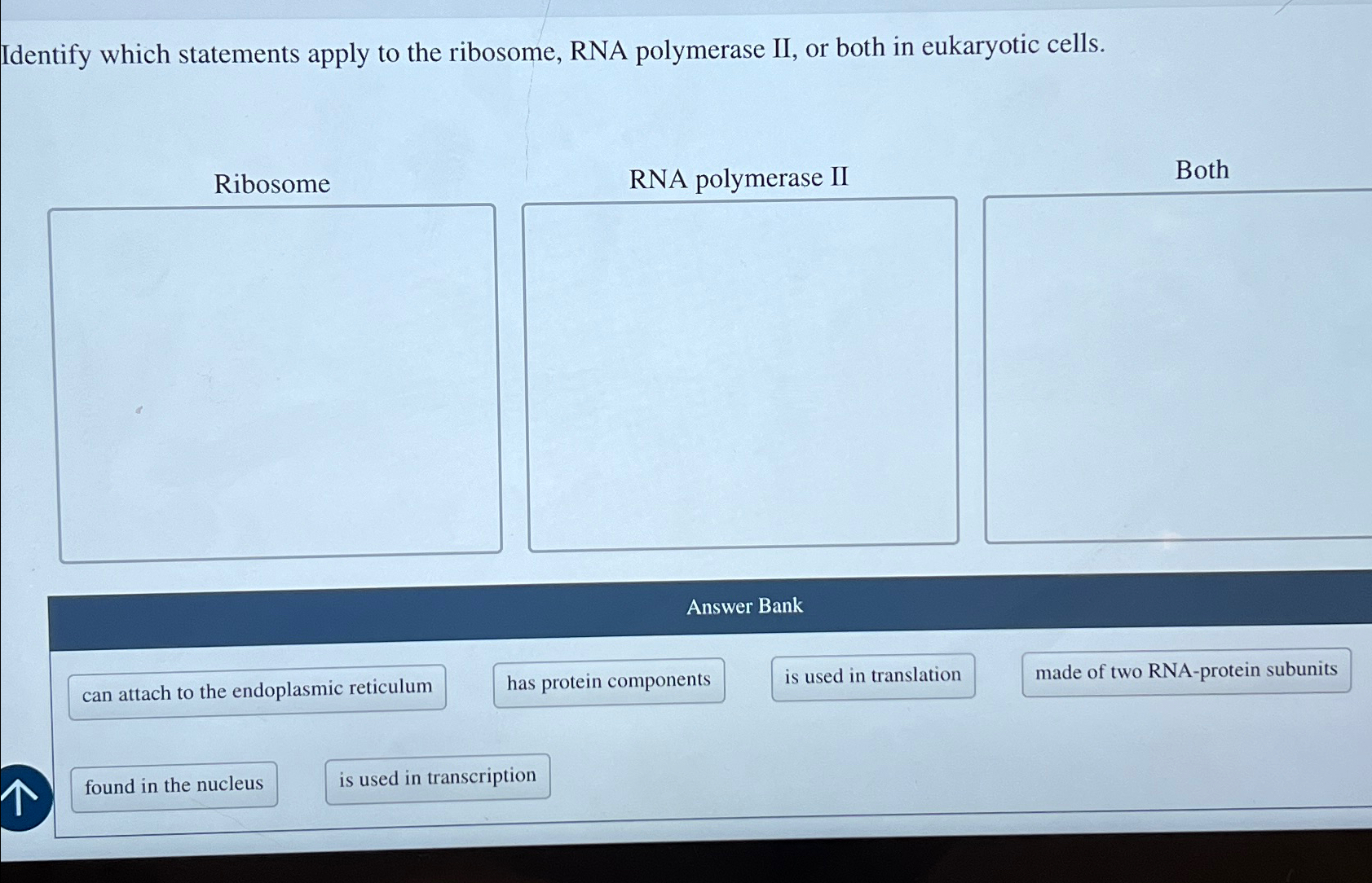 Solved Identify which statements apply to the ribosome, RNA | Chegg.com