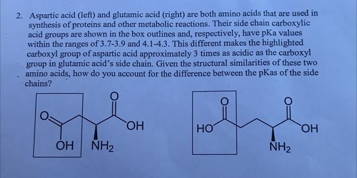 Solved 2. Aspartic acid (left) and glutamic acid (right) are | Chegg.com