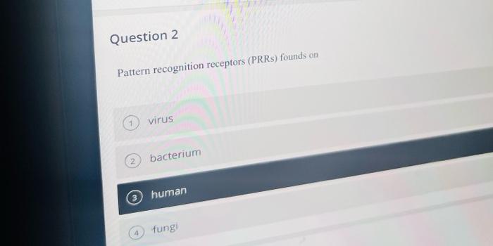 Solved Pathogen associated molecular patterns (PAMPs) found | Chegg.com