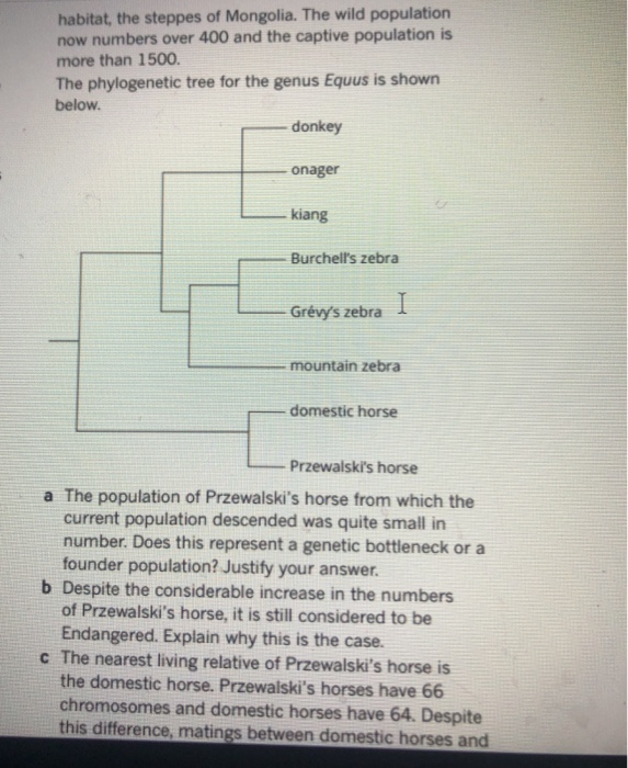 Solved 33 The genus Equus includes several species, both | Chegg.com