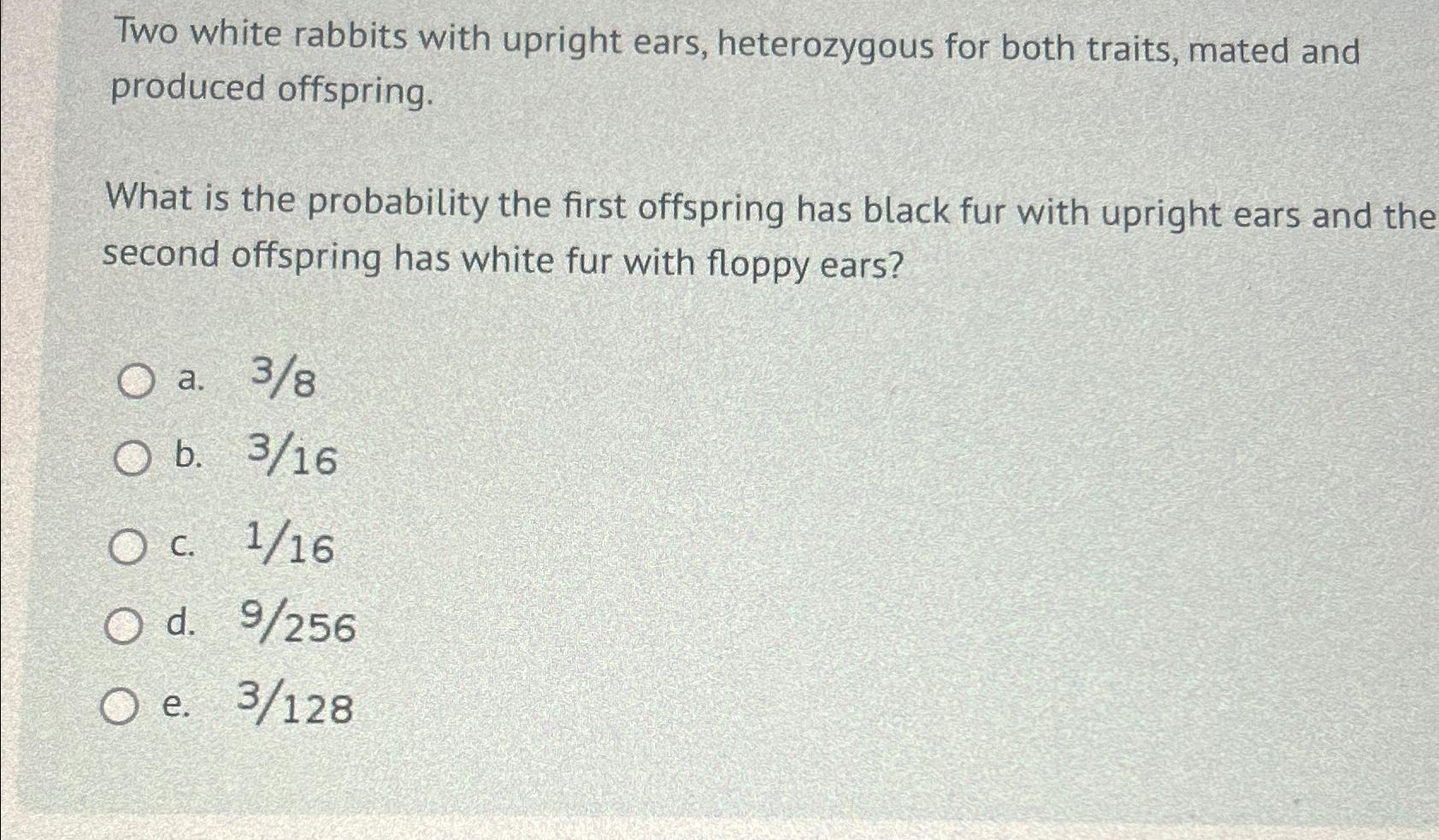 Solved Two white rabbits with upright ears, heterozygous for | Chegg.com
