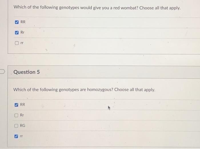 Solved Which of the following genotypes would give you a red | Chegg.com