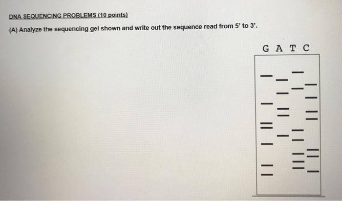 Solved DNA SEQUENCING PROBLEMS (10 points) (A) Analyze the | Chegg.com