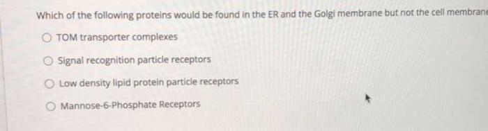 Solved What happens to the ER signal sequence after the | Chegg.com