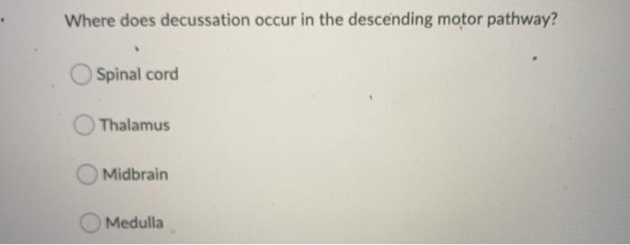 Solved Where does decussation occur in the descending motor | Chegg.com