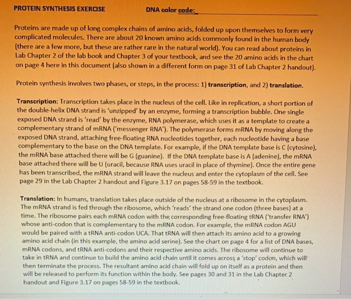 Solved PROTEIN SYNTHESIS EXERCISE DNA color code: Proteins | Chegg.com