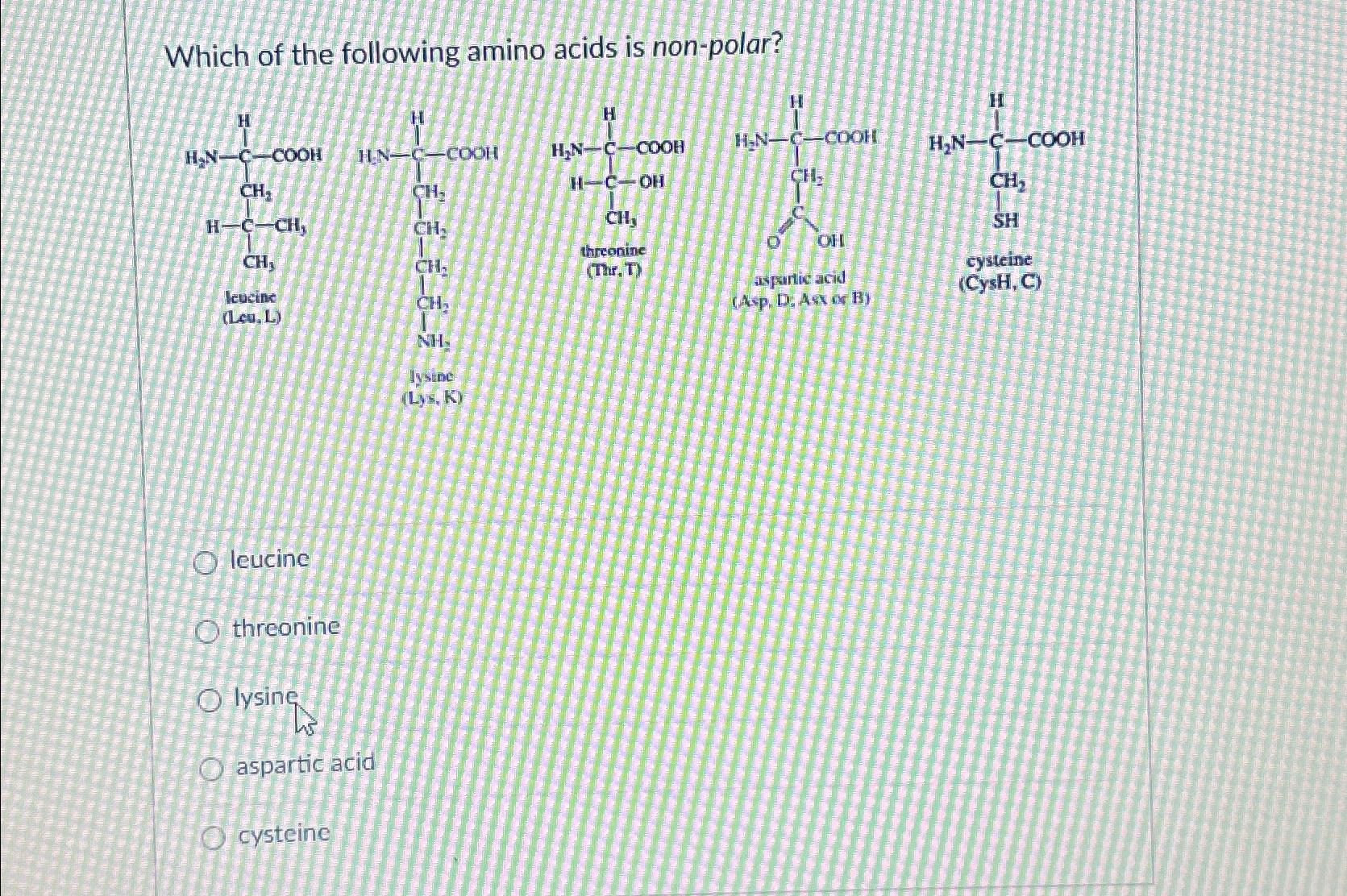 Solved Which of the following amino acids is | Chegg.com