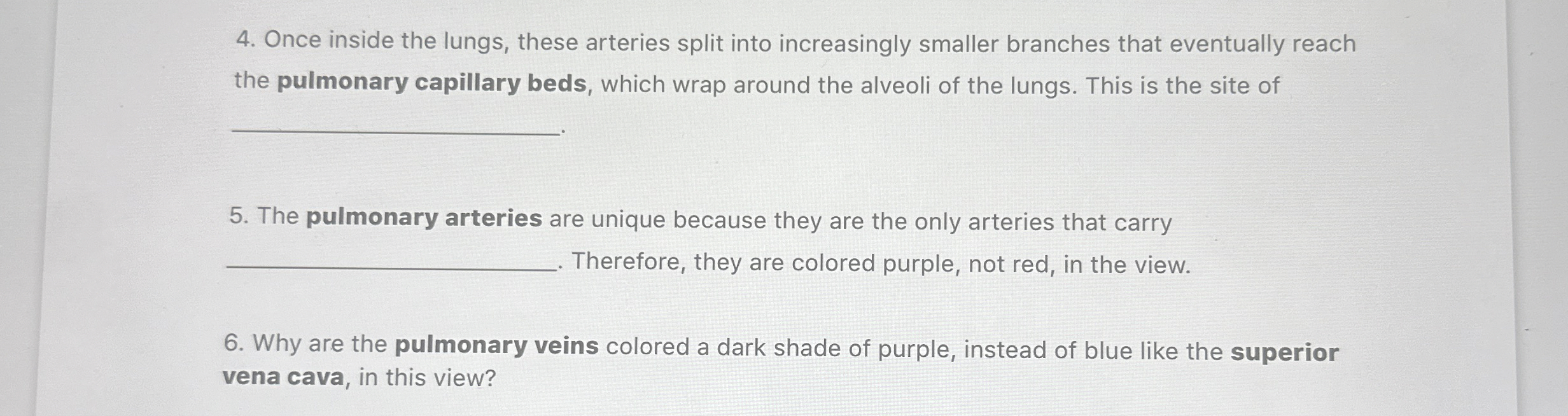 Solved Once inside the lungs, these arteries split into | Chegg.com