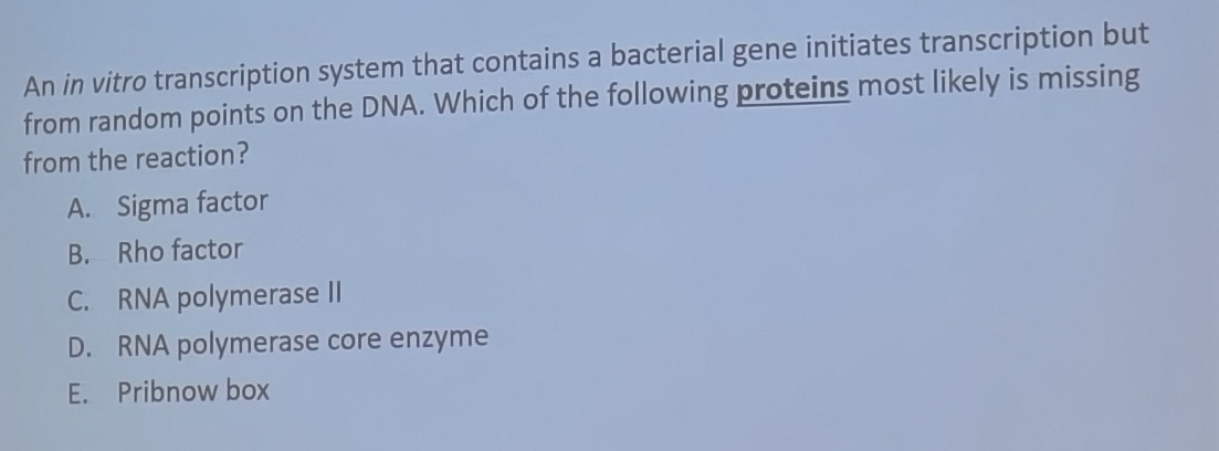 Solved An in vitro transcription system that contains a | Chegg.com