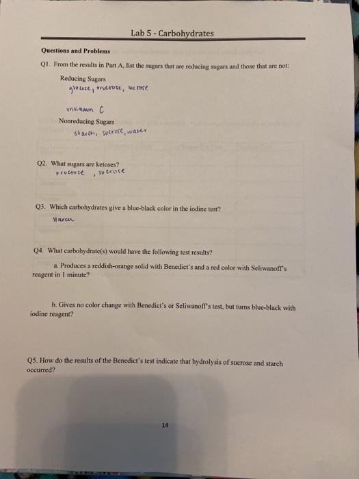 Solved Team Instructor Pre-Lab Study Questions 1. What | Chegg.com