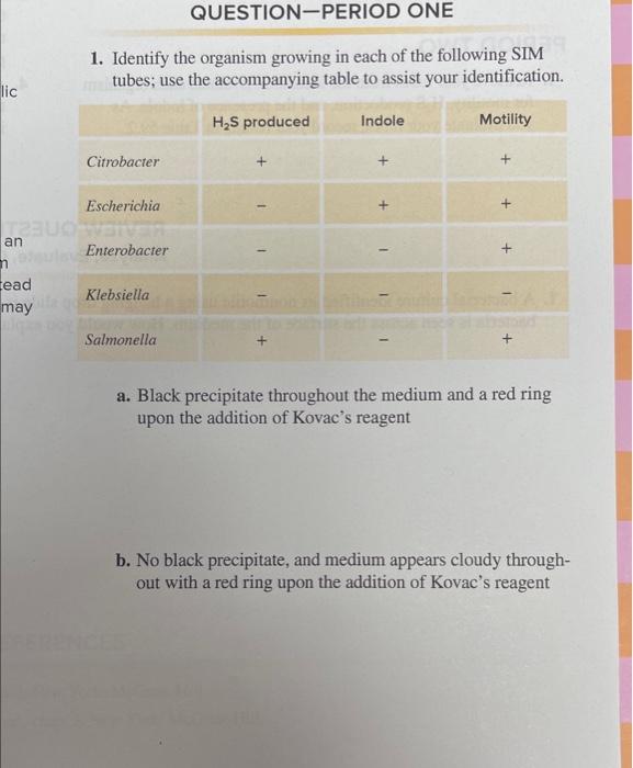 Solved 1. Identify the organism growing in each of the | Chegg.com