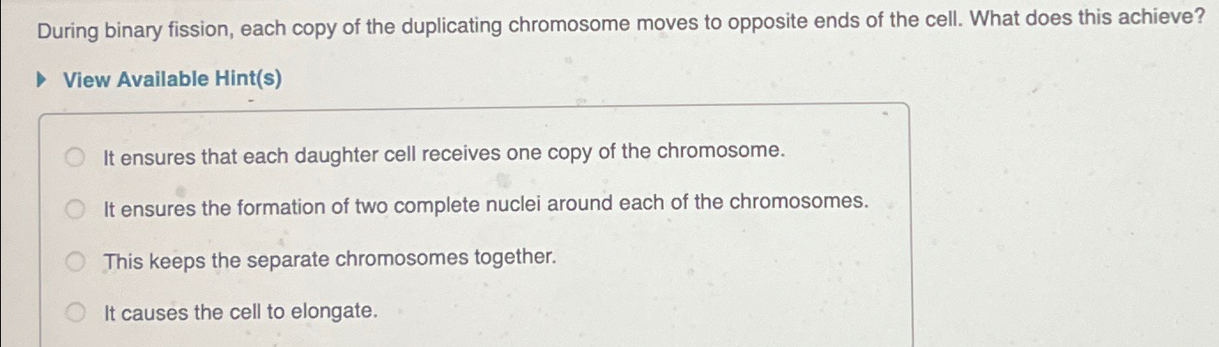 Solved During binary fission, each copy of the duplicating | Chegg.com