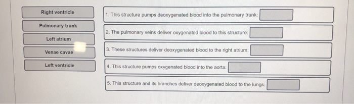 Solved Right ventricle 1. This structure pumps deoxygenated | Chegg.com