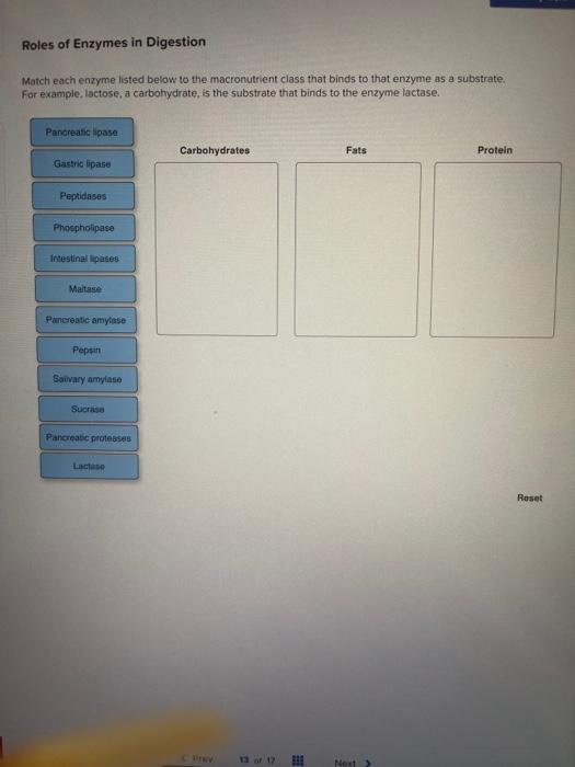 Solved Micronutrient Absorption Each of the following | Chegg.com
