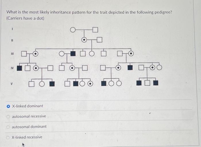What is the most likely inheritance pattern for the | Chegg.com
