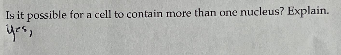Solved Is it possible for a cell to contain more than one | Chegg.com