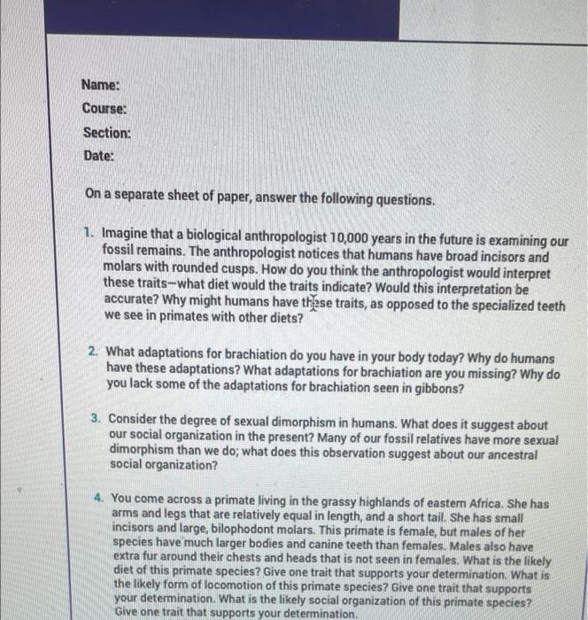 Solved Name: Course: Section: Date: On a separate sheet of | Chegg.com