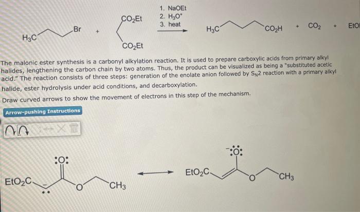 Solved 1. NaOEt 2. H3O+ 3. heat H3CO+CO2H+EtOH The malonic | Chegg.com