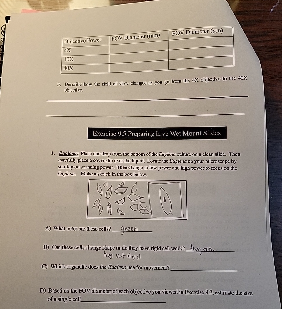 Solved \table[[Objective Power,FOV Diameter (mm),FOV | Chegg.com