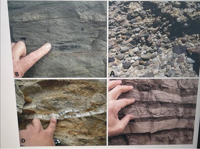 Solved which of the following sedimentary deposits below | Chegg.com