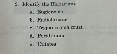 Solved Identify the Rhizariansa. ﻿Euglenoidsb. | Chegg.com