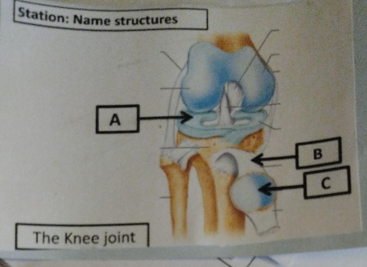 Solved Station: Name structures | Chegg.com