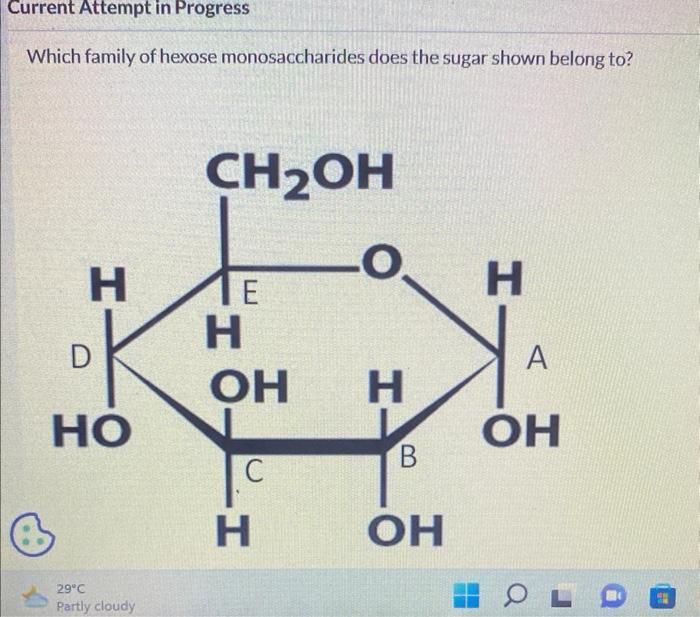 Solved Which family of hexose monosaccharides does the sugar | Chegg.com