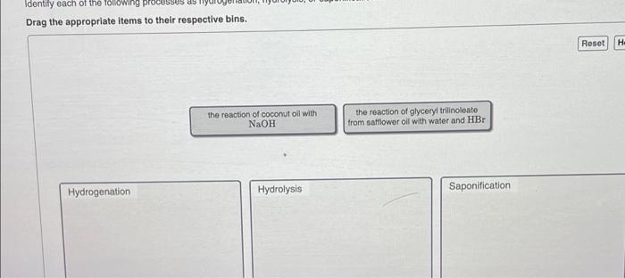 Solved Identify each of the following processus 85 Drag the | Chegg.com