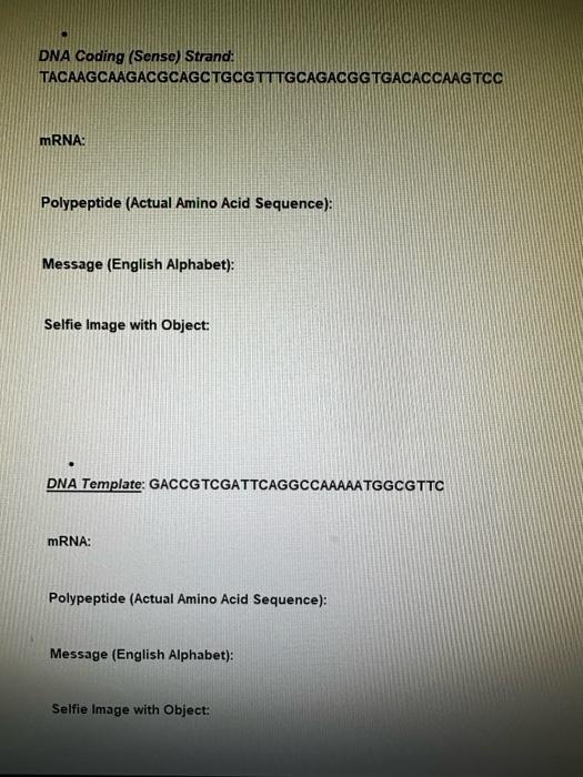 Solved Gene Expression Scavenger Hunt Please utilize your | Chegg.com