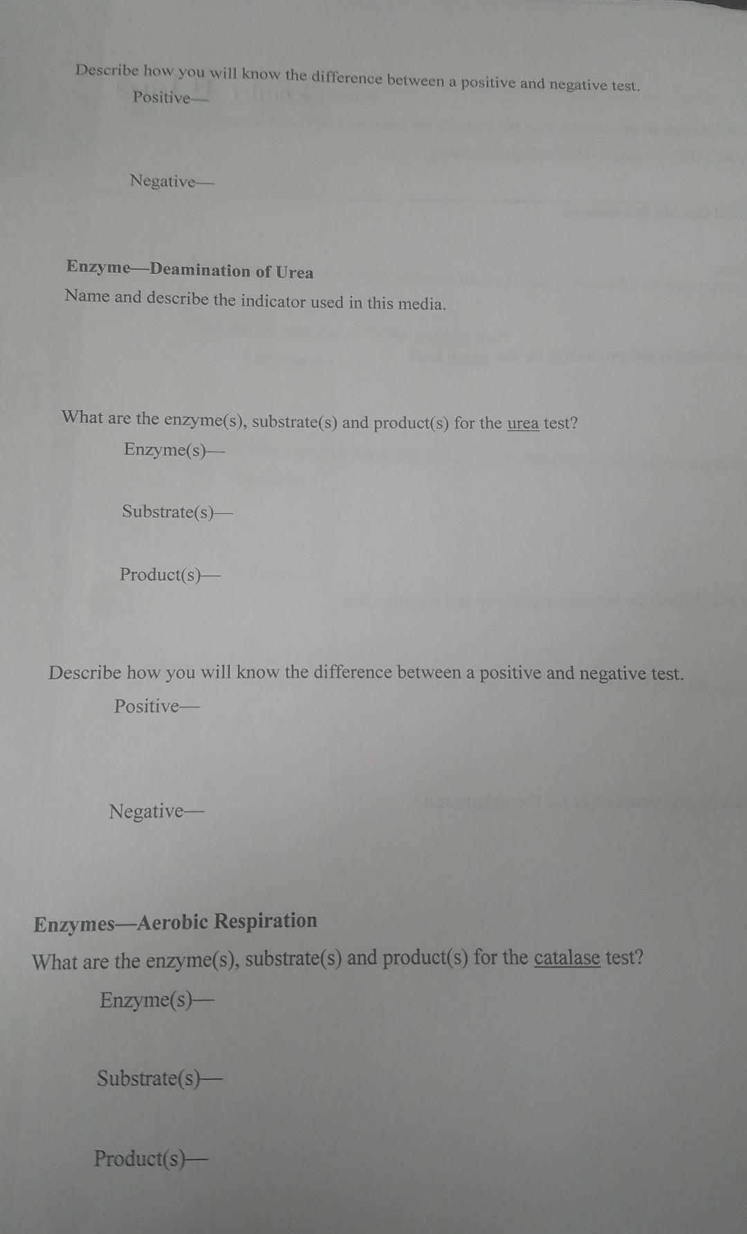 Solved Enzyme Pre-Laboratory Assignment-Using your lab | Chegg.com