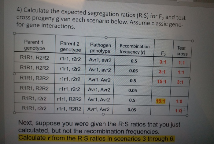 4) Calculate the expected segregation ratios (R:S) | Chegg.com