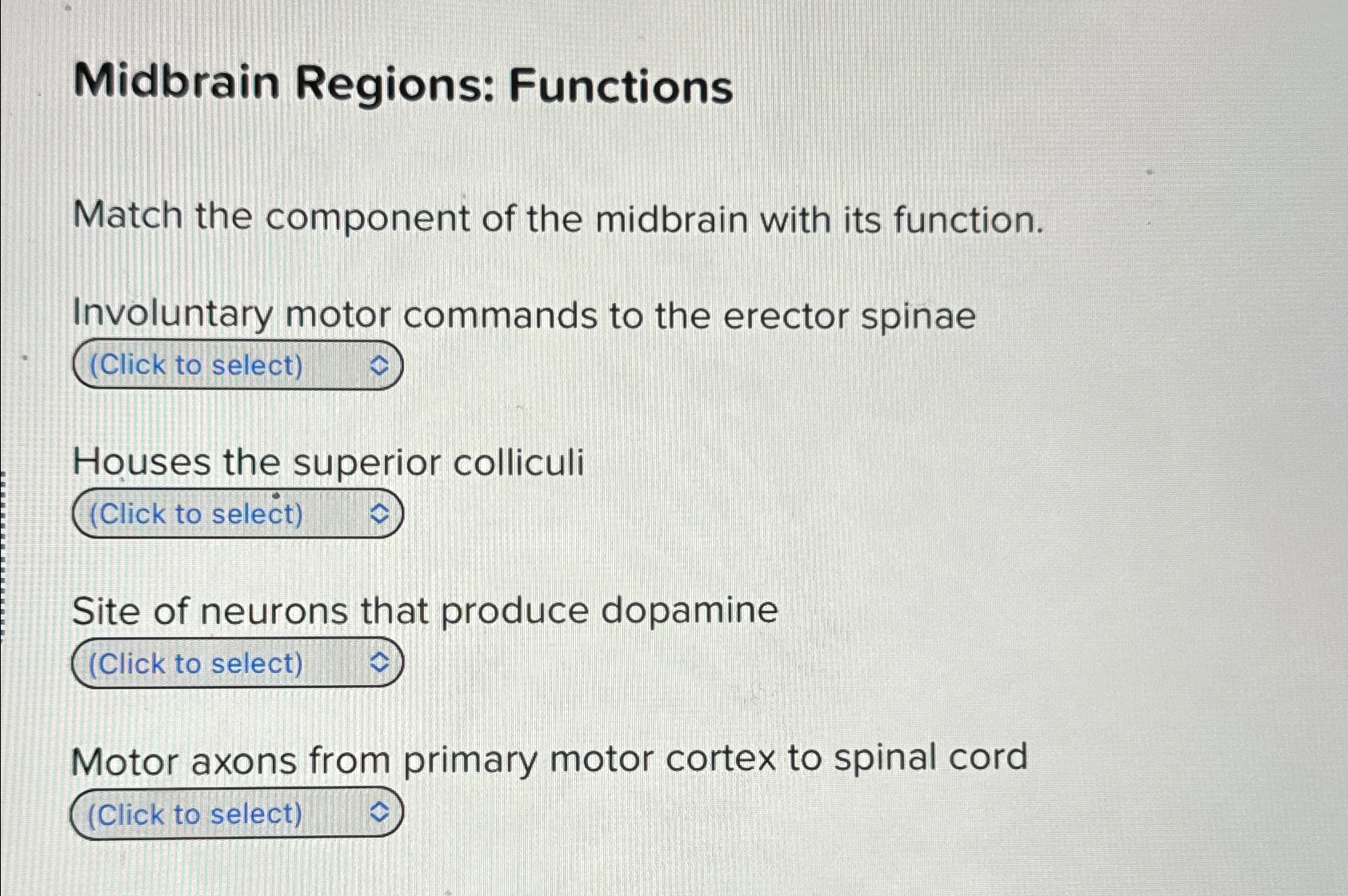 Solved Midbrain Regions: FunctionsMatch the component of the | Chegg.com