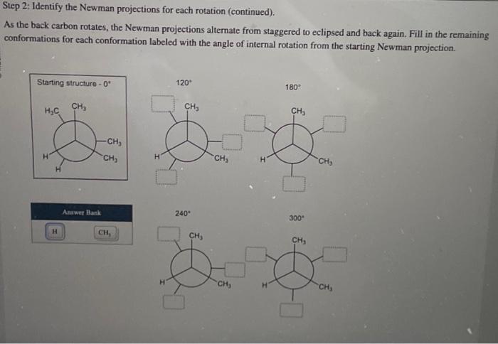 Solved Step 2: Identify the Newman projections for each | Chegg.com