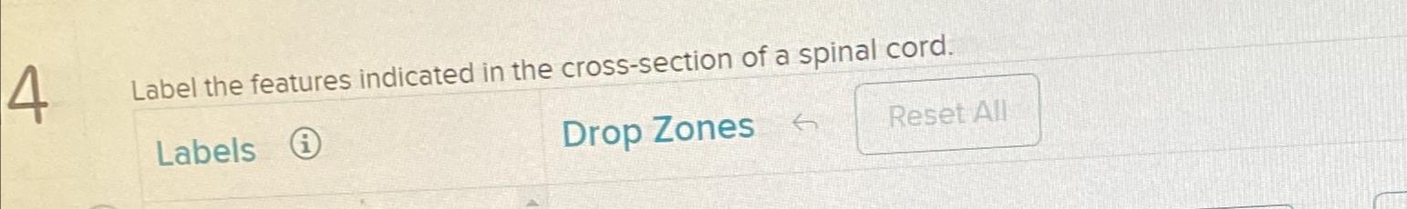 Solved 4 ﻿Label the features indicated in the cross-section | Chegg.com