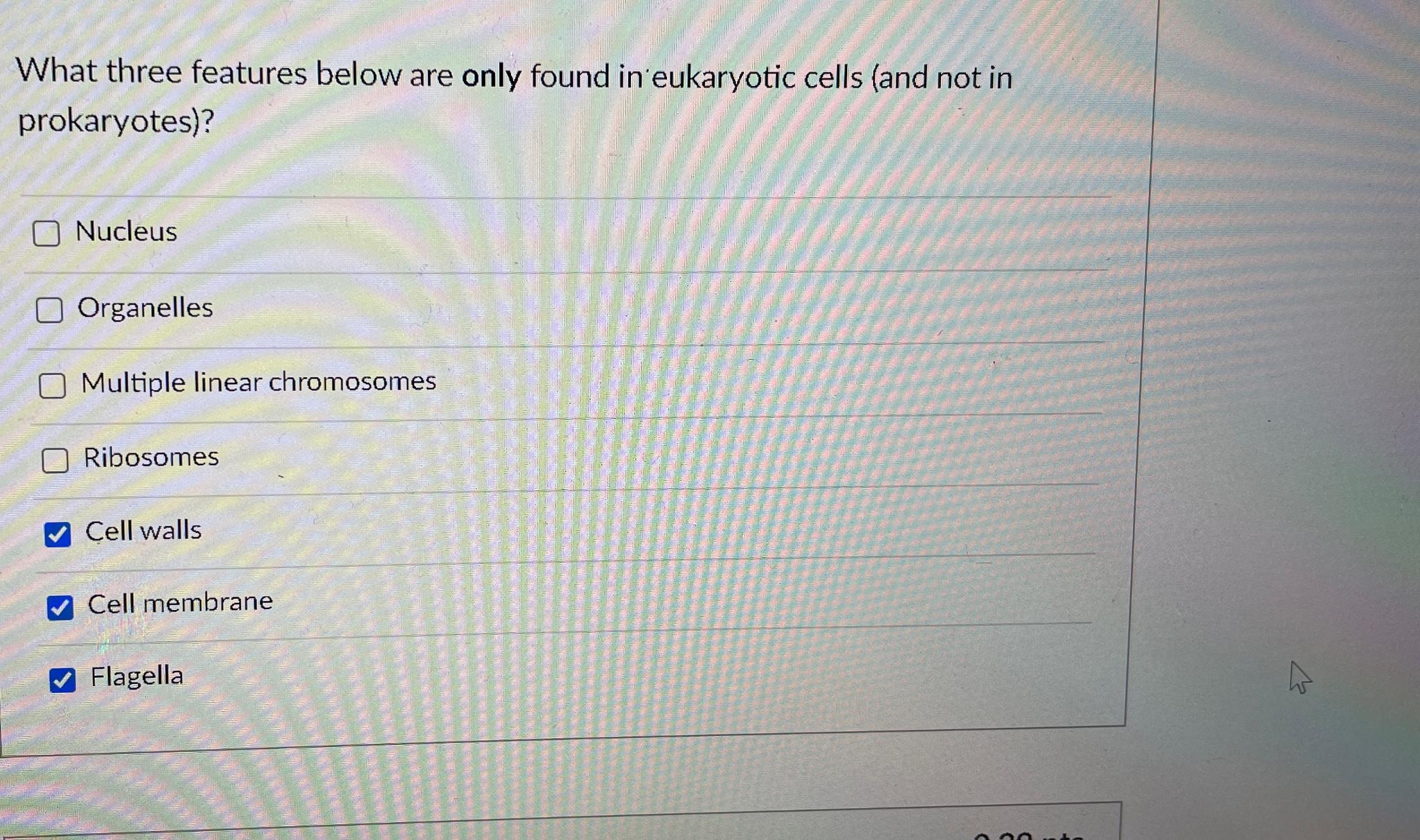 Solved What three features below are only found in | Chegg.com