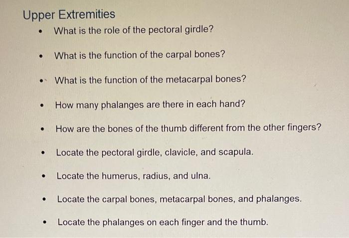 Solved Upper Extremities - What is the role of the pectoral | Chegg.com
