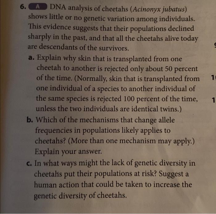 Solved g 1 6. A DNA analysis of cheetahs (Acinonyx jubatus) | Chegg.com